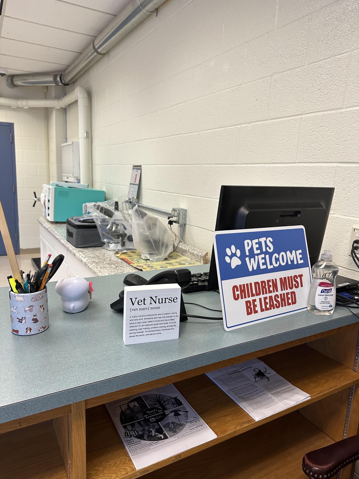 Reddy rocks world in vet program – The Hiller